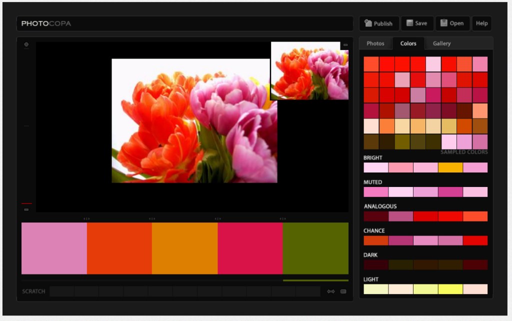 Dash of Inspiration: Tools to Help Choose Color Palettes | GCU Community