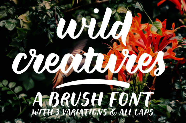 Freebie Wednesday: Wild Creatures Font | GCU Community